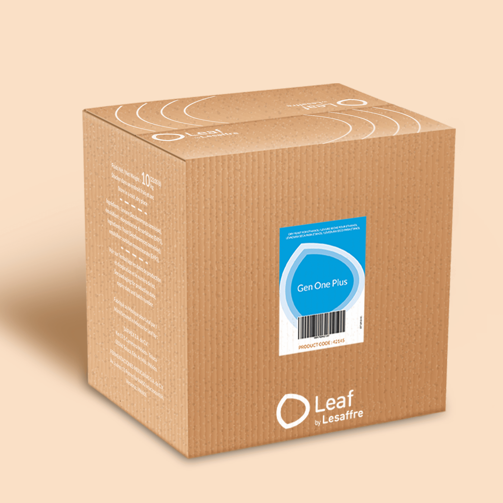 Bio ethanol production: our solutions - Leaf by Lesaffre