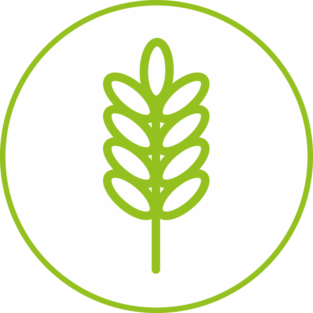 Bio ethanol production: our solutions - Leaf by Lesaffre