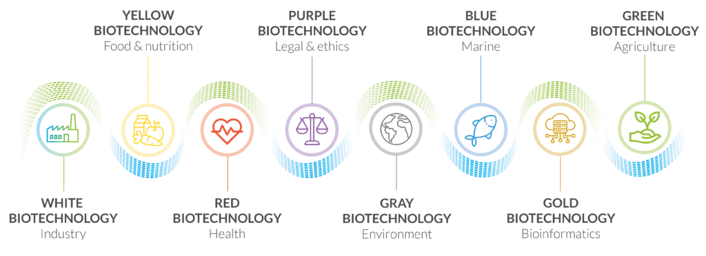 Industrial fermentation: its contribution to the bioeconomy