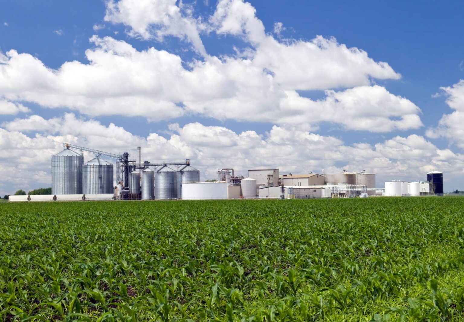 Exploring America's Landscape for Bioethanol Production - Leaf